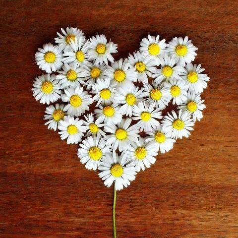 GCSE Science | Primrose Kitten