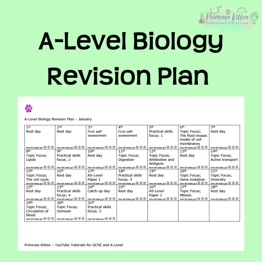 A-Level Biology revision plan | Primrose Kitten