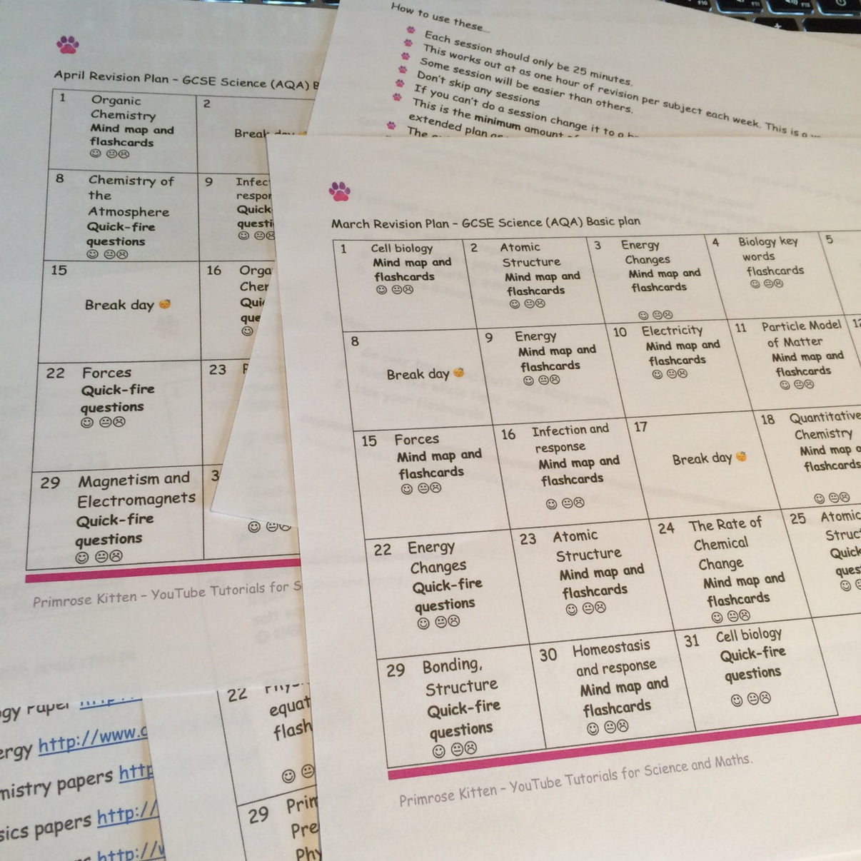 GCSE Science revision plans– Primrose Kitten
